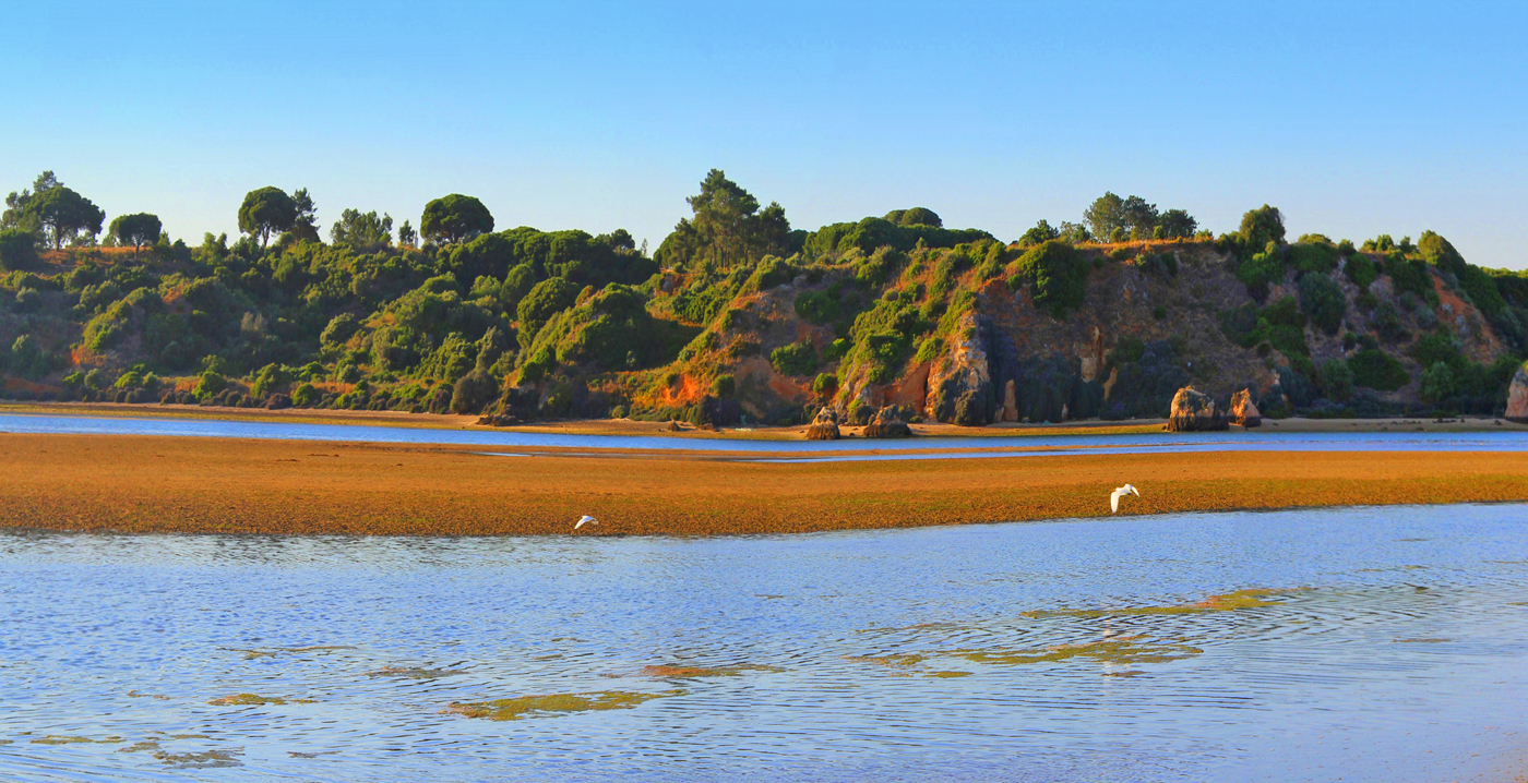 Alvor Boardwalk & Estuary Trail